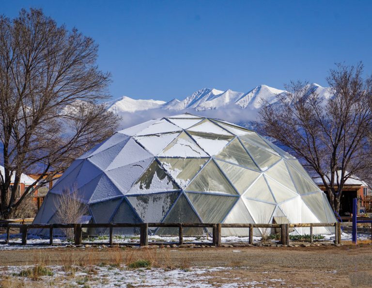 Garden All Year Round Inside a Growing Dome